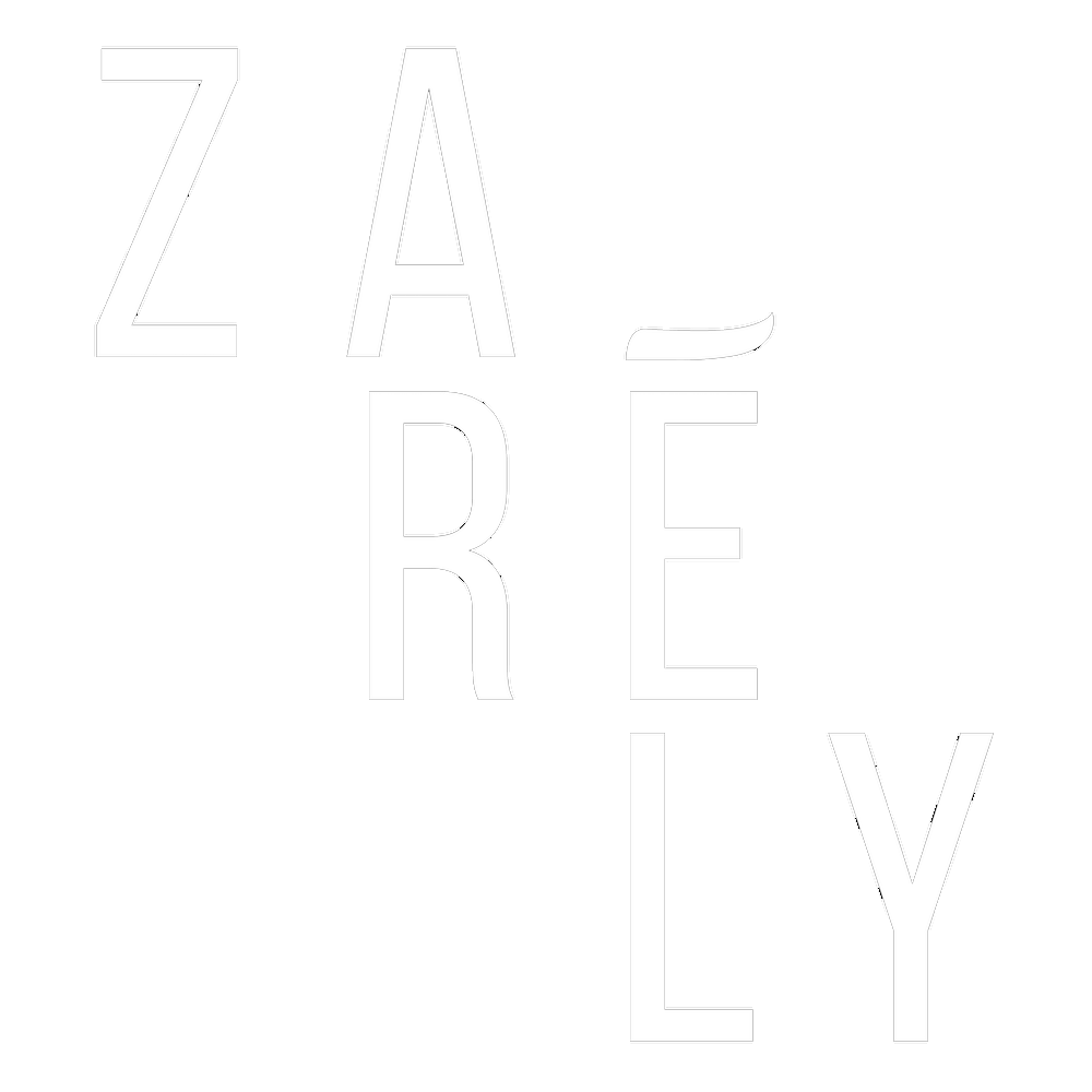 Z1 Professional Rehearsal Tights For Dancers | Zarely